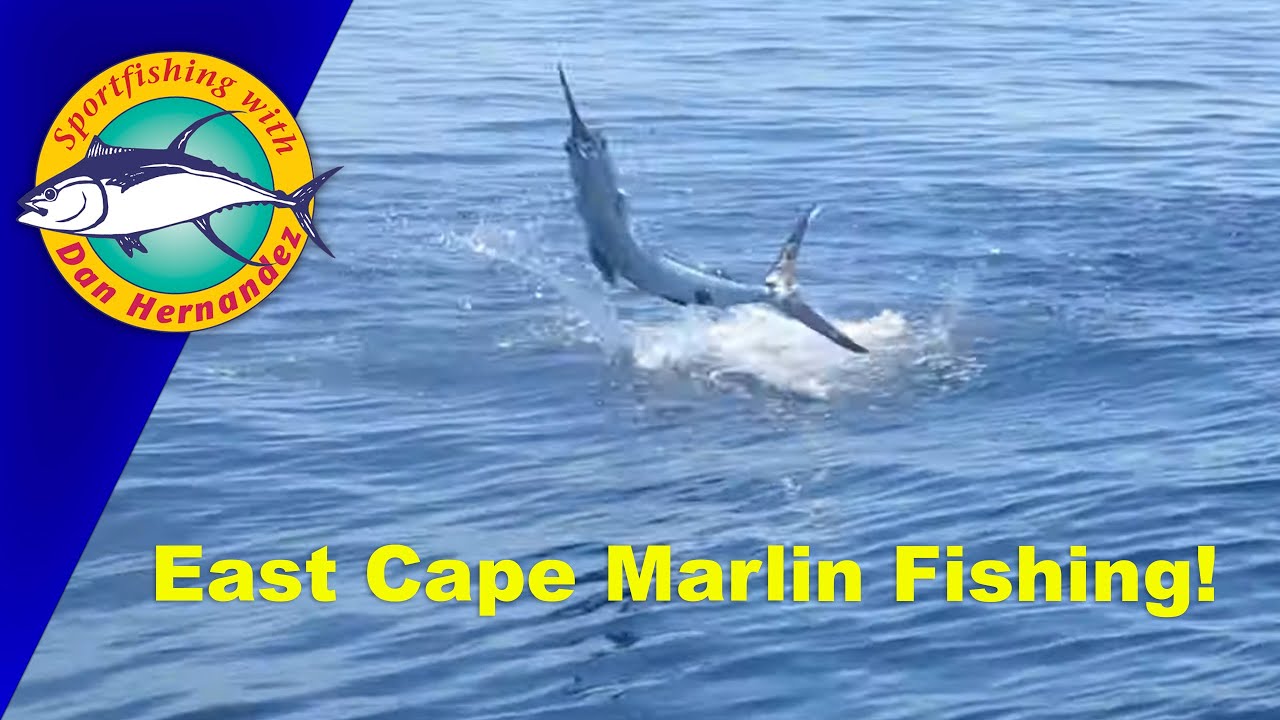 Fishing For Marlin In the East Cape - YouTube