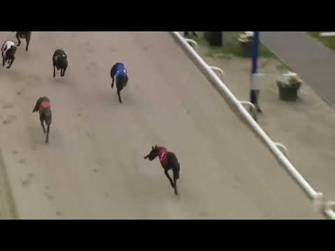 BUBBLY FLASH Wins His A6 400m Race In Trap 1 At Romford - YouTube