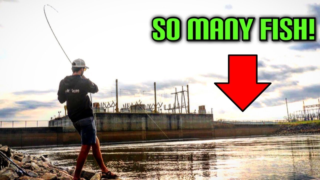 River Fishing Slayfest! SLAB CRAPPIE - WHITE BASS - SAUGERS and MORE ...