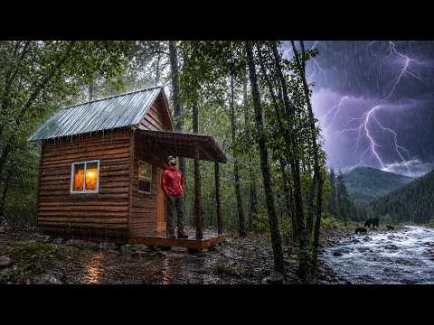 A Violent Storm Hit My Cozy Survival Cabin… Bear Cub Sighting