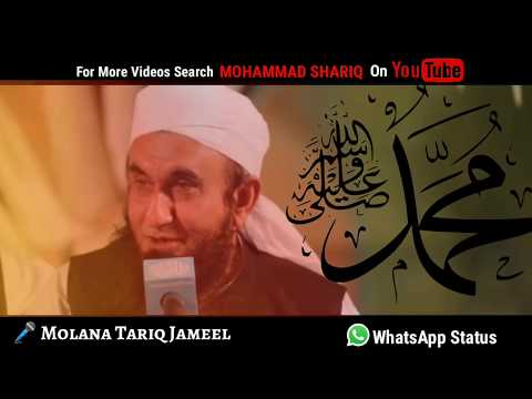 Pyare Nabi Mohammad (ﷺ) Ki Khubsurati | Molana Tariq Jameel WhatsApp Status