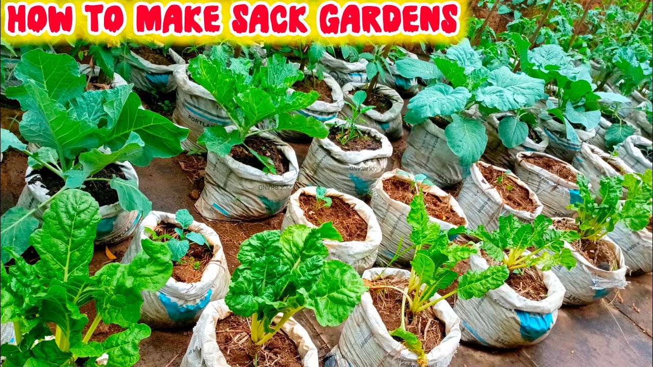 How To Prepare Sacks For Growing Vegetables? / Backyard Farming - YouTube