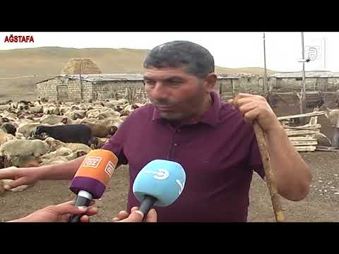 Ceyrançöl qoyunçuluq təsərrüfatının keçmişi və bu günü