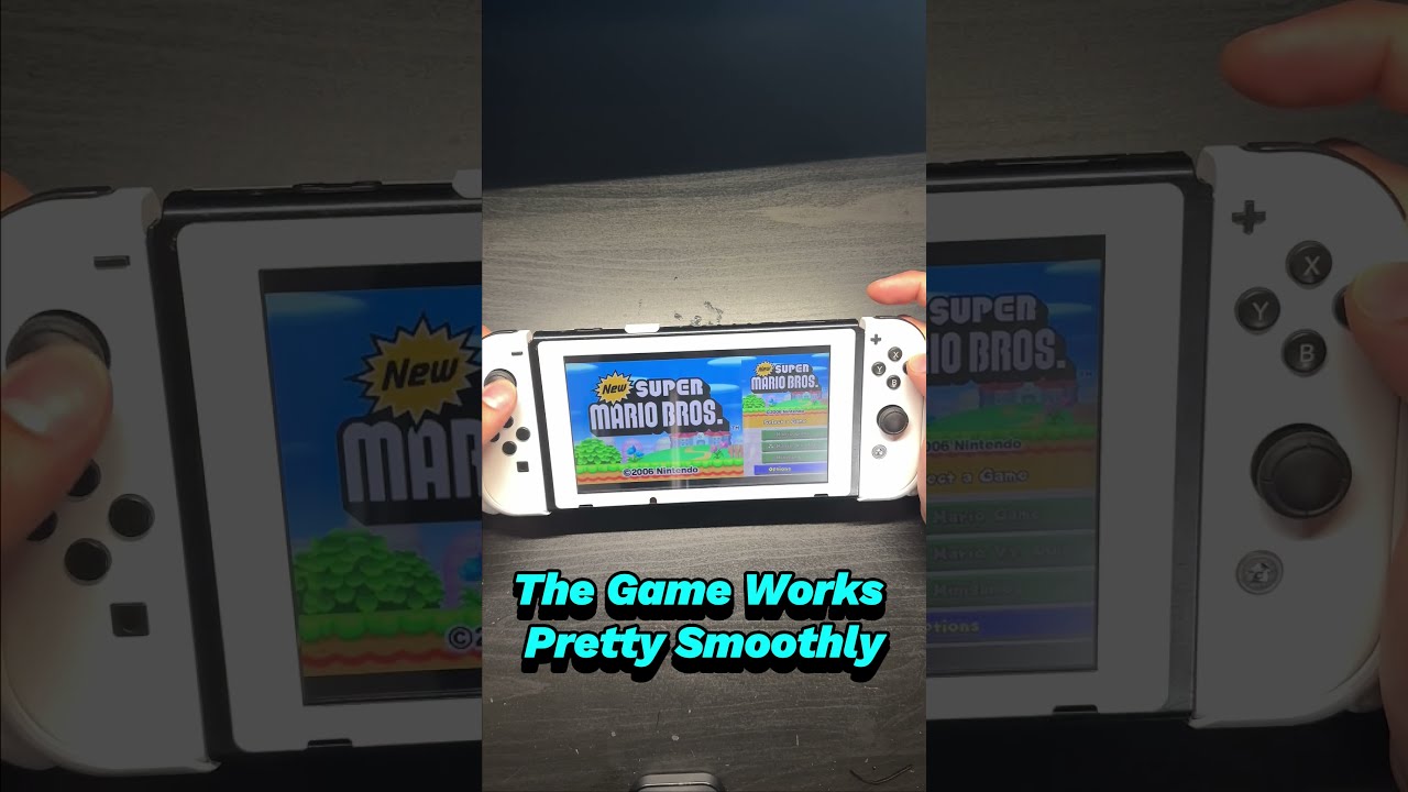 Do ds games work on switch lite store