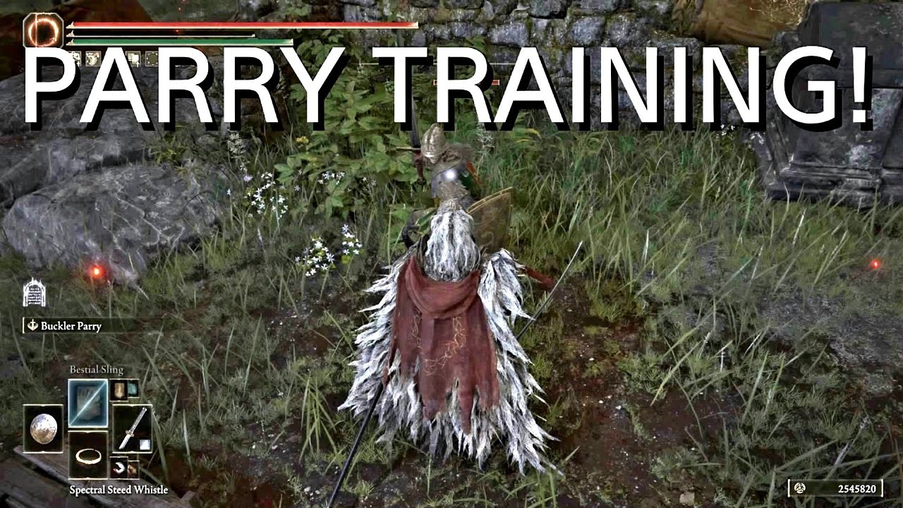 Parry Training! Elden Ring - YouTube