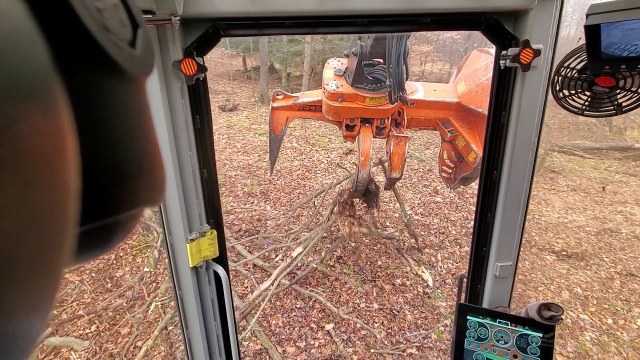 Timberpro TL755D Quadco 27sc feller buncher hotsaw - YouTube