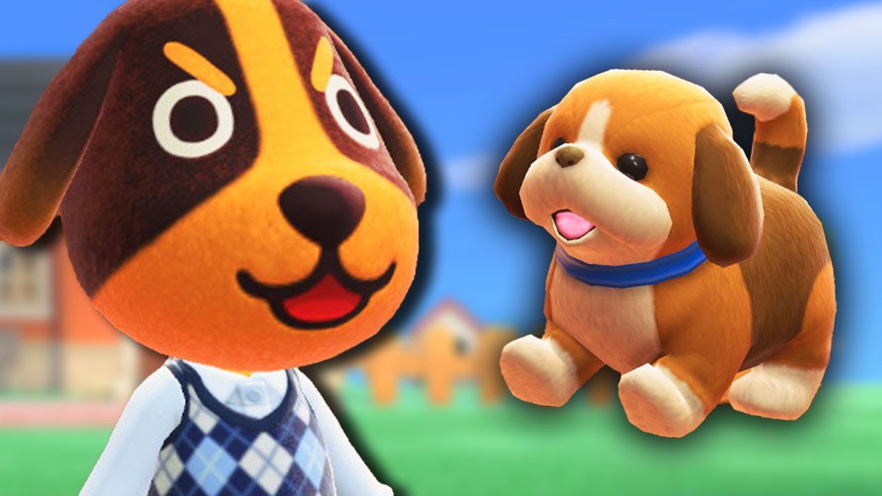 When You Give a Dog a DOG in Animal Crossing - YouTube