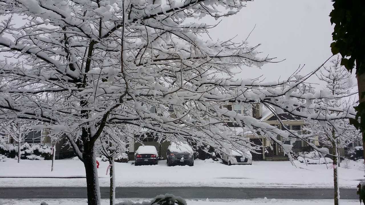 Snow - Front View - YouTube