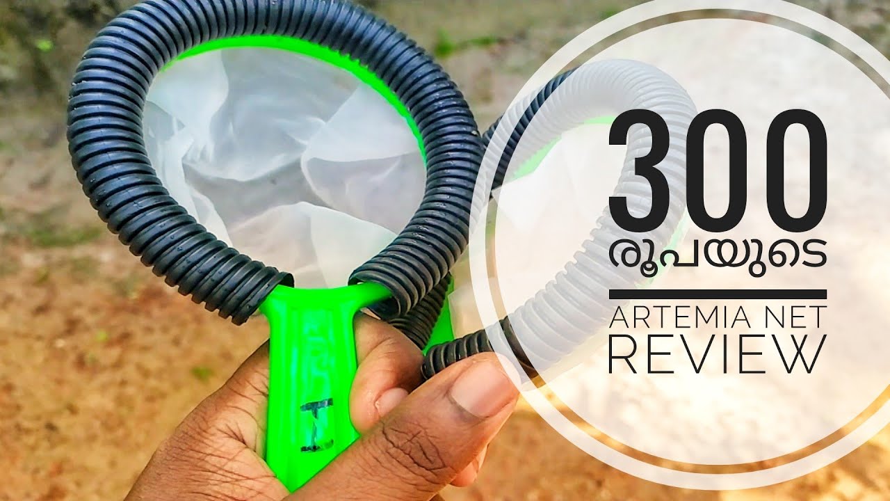 Cheapest artemia seperation net review - YouTube