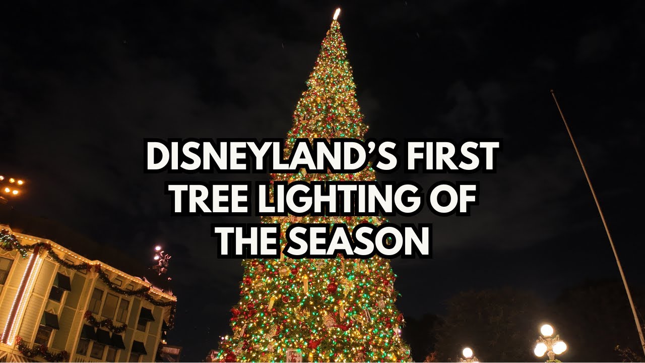 MAGIC Happens at Disneyland's FIRST Christmas Tree Lighting 2024! - YouTube