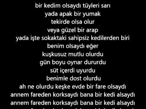 kedi - süleyman unutmaz