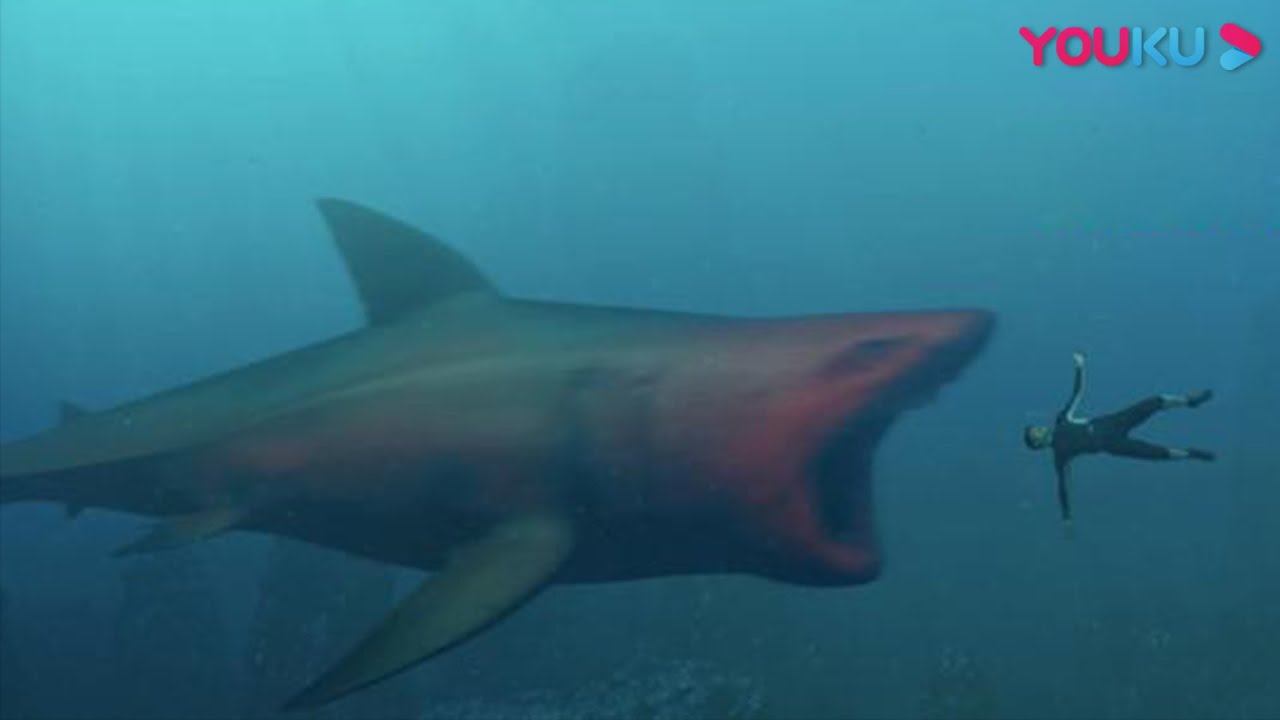 ¡Un tiburón gigante con modificación genética se enfrenta a los humanos ...