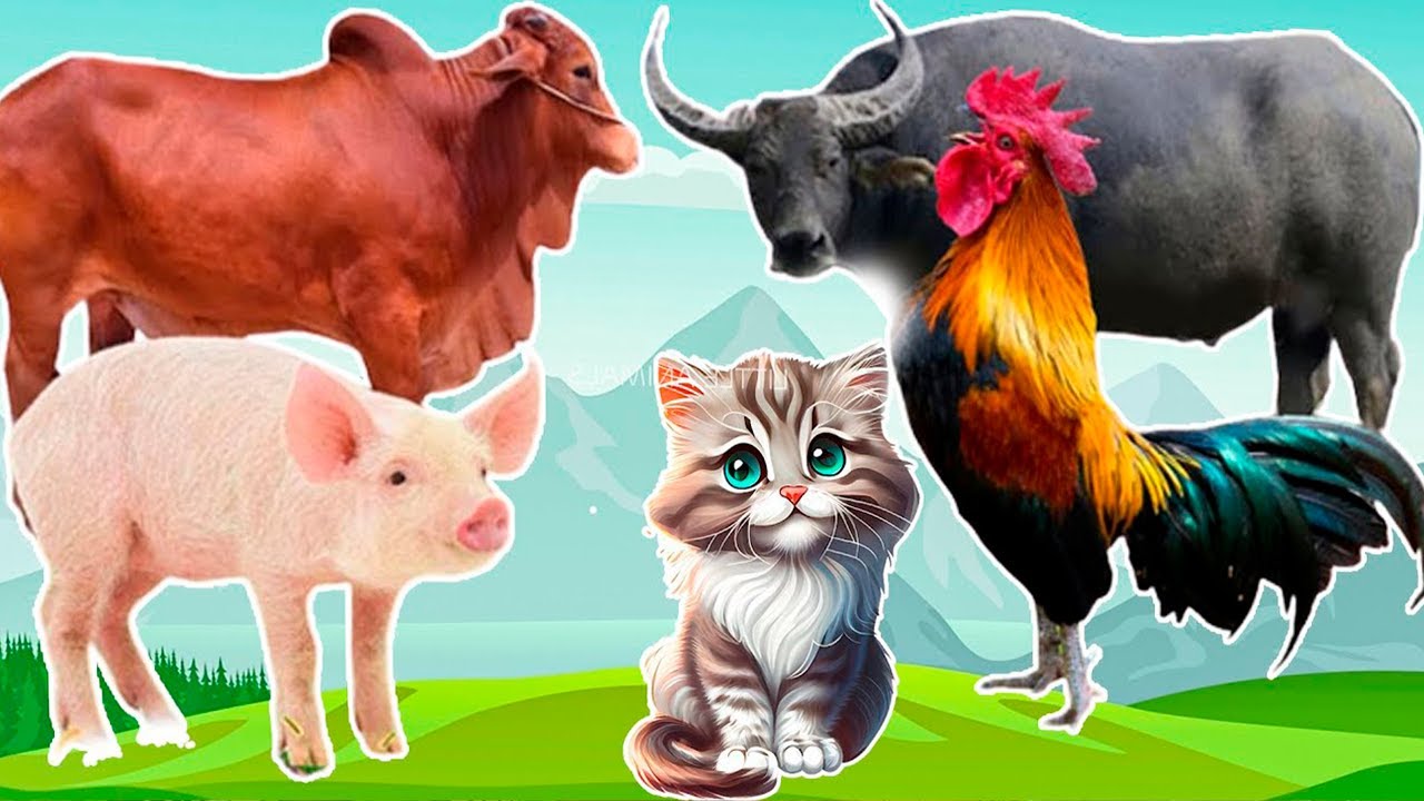 Cute Animal Sounds & Mellow Music: Chiken, Raccoon, Monkey, Elephant ...