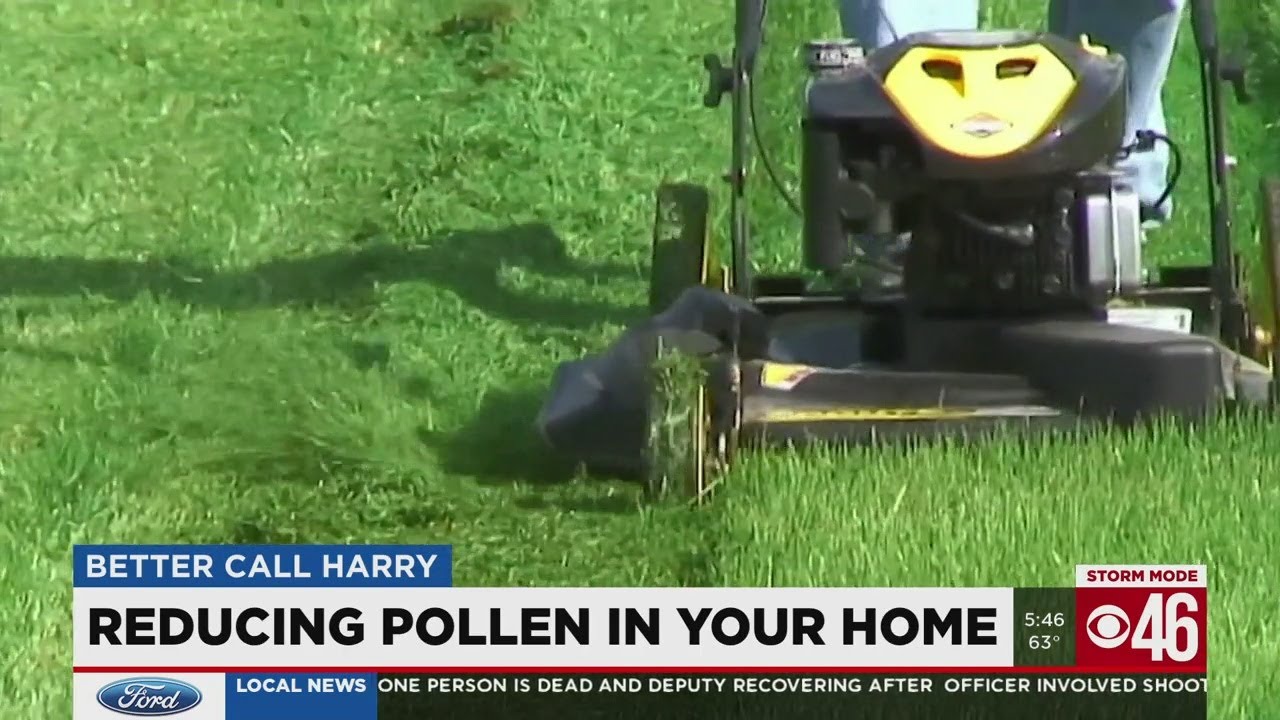 Here's how to reduce pollen in your home - YouTube