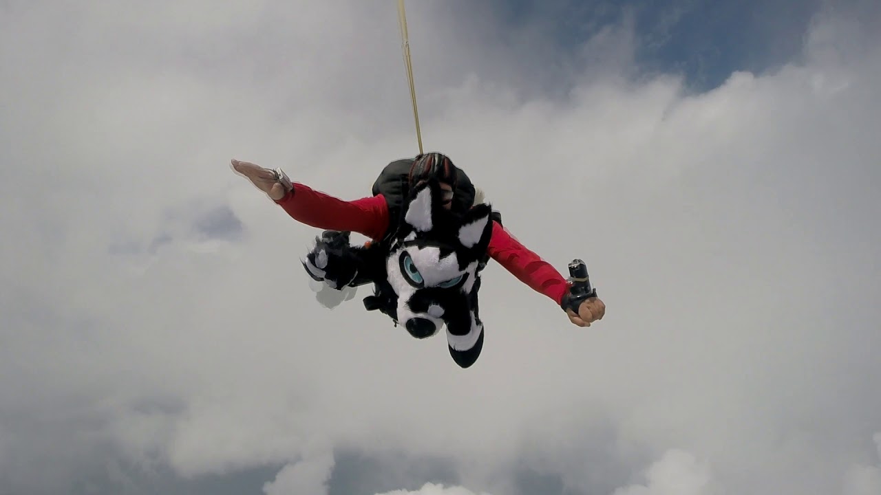 ⭐Skydiving Furry Nookie⭐ - YouTube