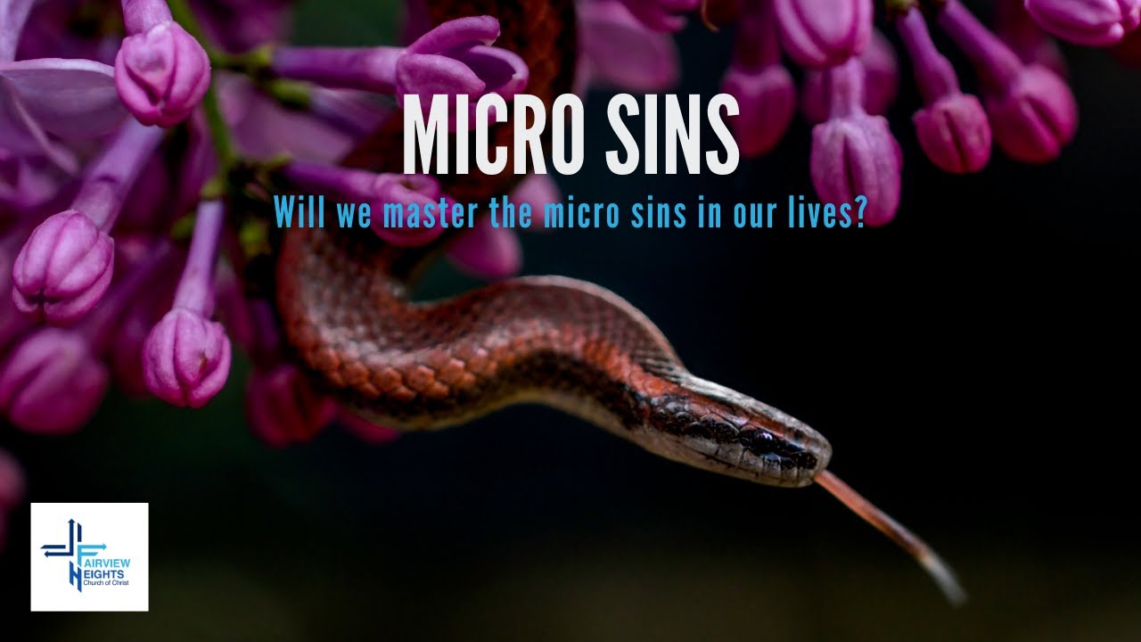 Micro Sins - Week 1: Mastering Micro Sins - YouTube