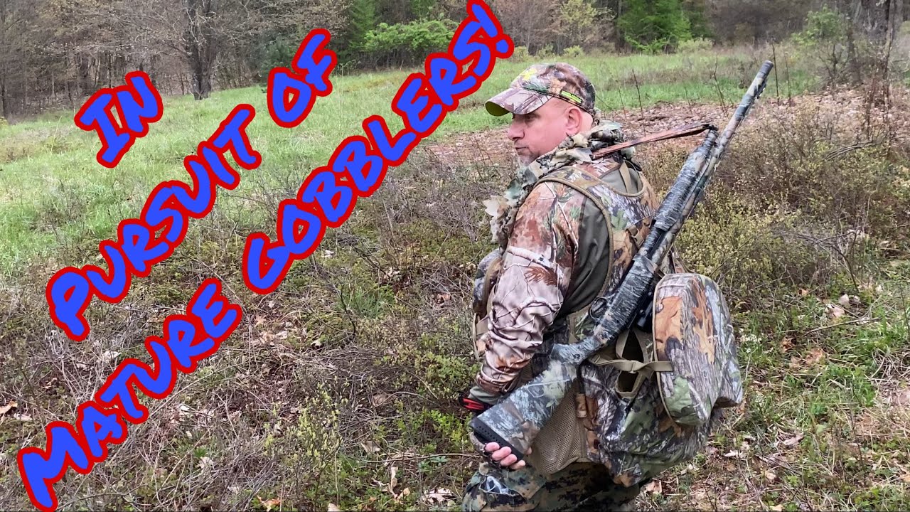 PA Spring Gobbler Turkey Season Opener 2021| Chasing Mature Longbeards ...