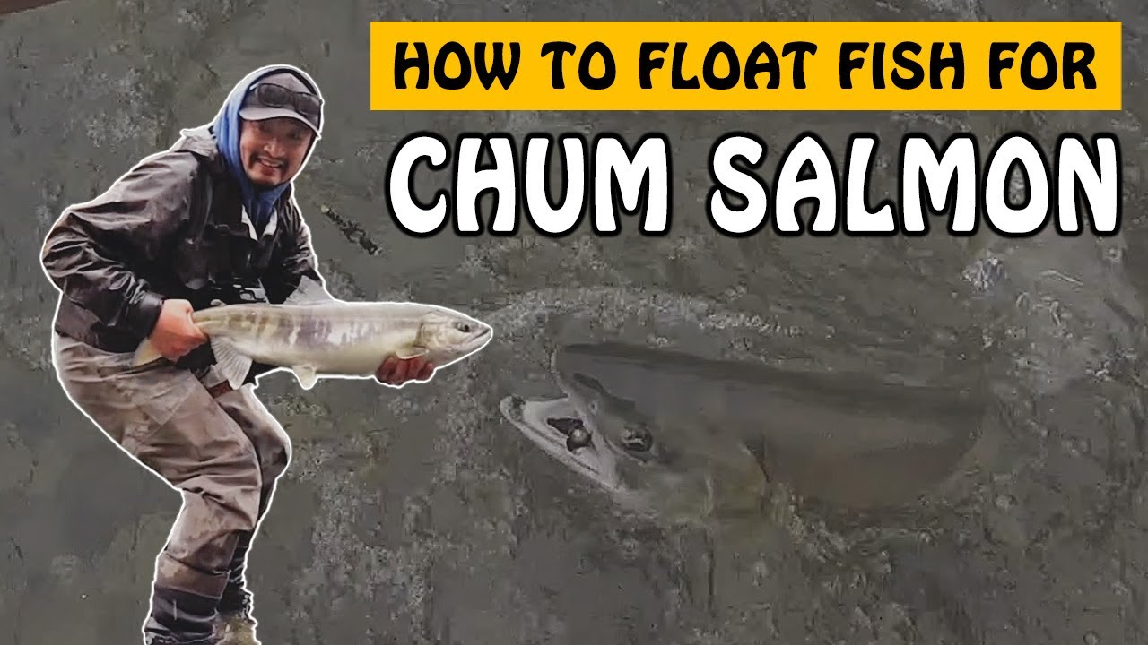 Try Chum Salmon Fishing If You Like Many Bobber Downs! | Fishing with ...