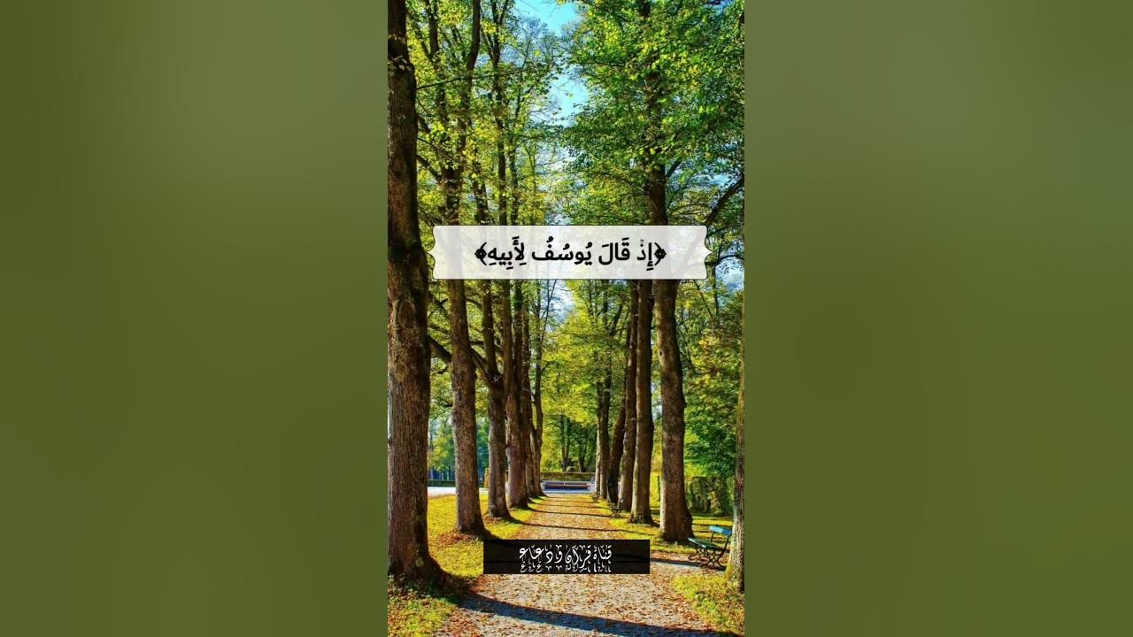 إذ قال يوسف لأبيه ياأبت إني رأيت أحد عشر كوكبا سورة يوسف القارئ 🎙 صلاح