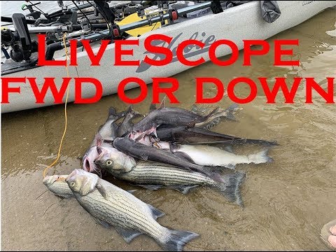 Garmin LiveScope Down vs Forward Mode - YouTube