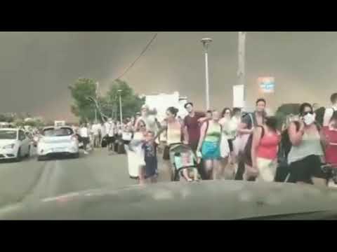 Yunanistan'ın Rodos Adası'ndaki yangın nedeniyle binlerce kişi tahliye ediliyor