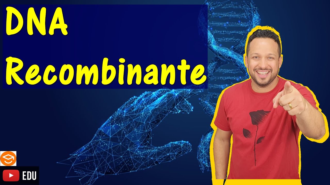 DNA Recombinante - Conceito, mecanismo e função - Biotecnologia ...