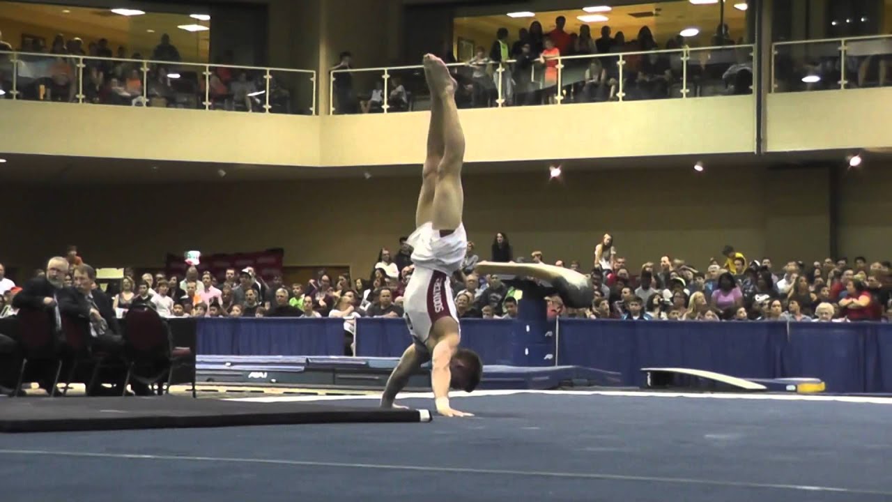 Allan Bower – Floor – 2015 Winter Cup Finals - YouTube