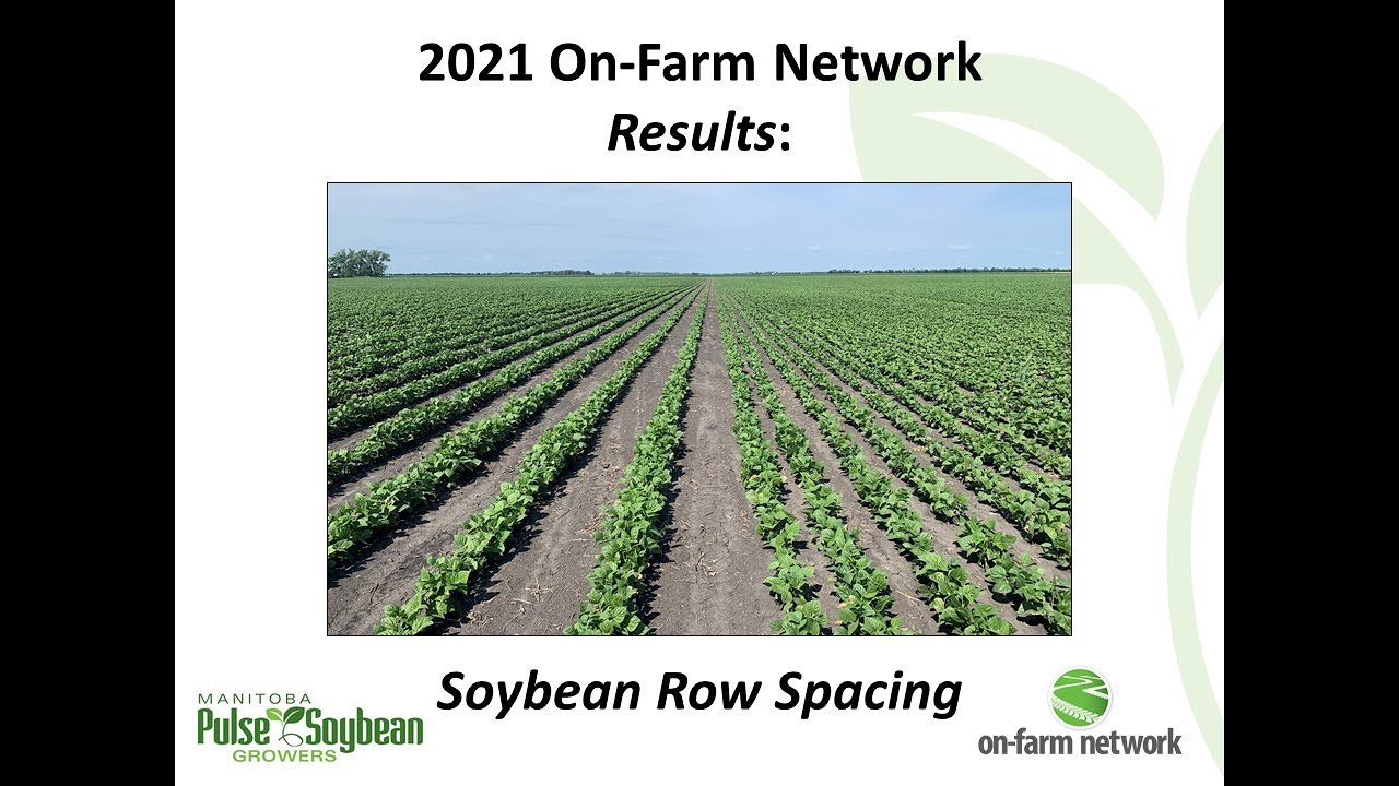 2021 Soybean Row Spacing Results - YouTube