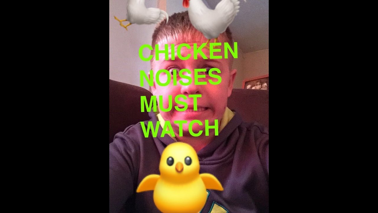 How to make a chicken noise - YouTube
