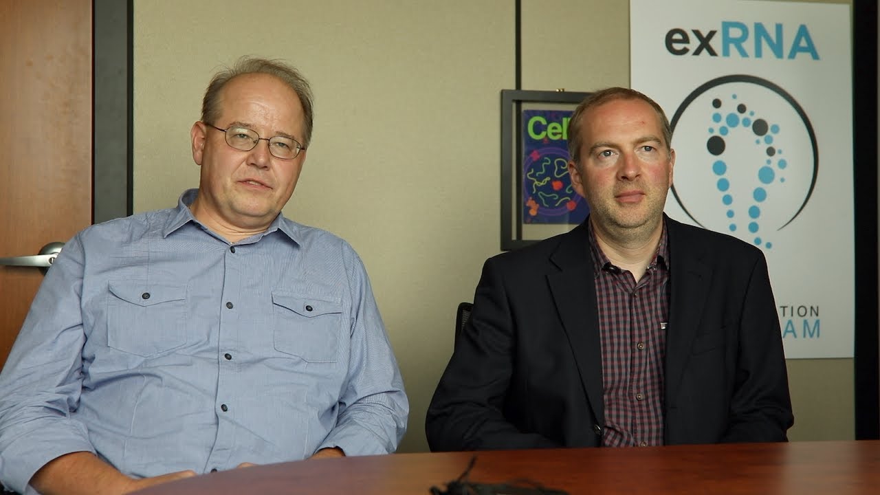 ERCC2 Investigator interview: Robert Raffai and Bogdan Mateescu - YouTube