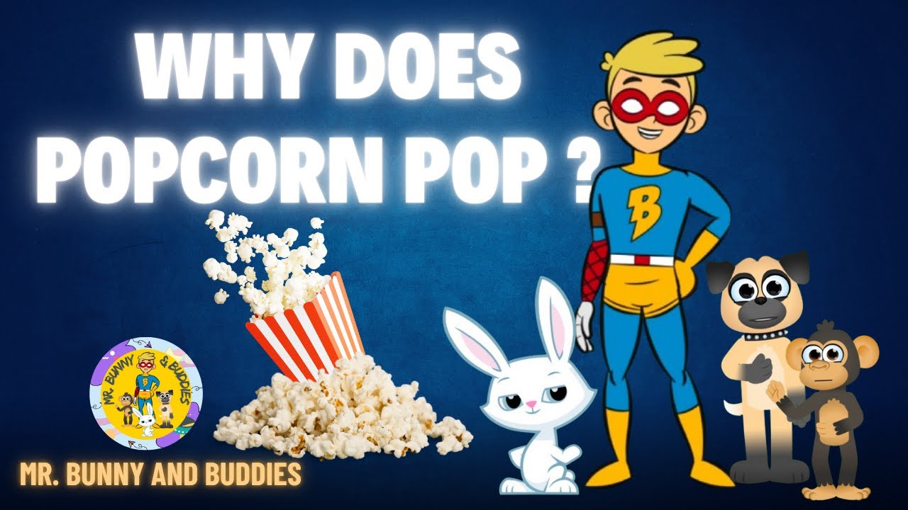 Why Does Popcorn Pop?| Fun Science for Kids! 🍿 | Mr. Bunny And Buddies ...