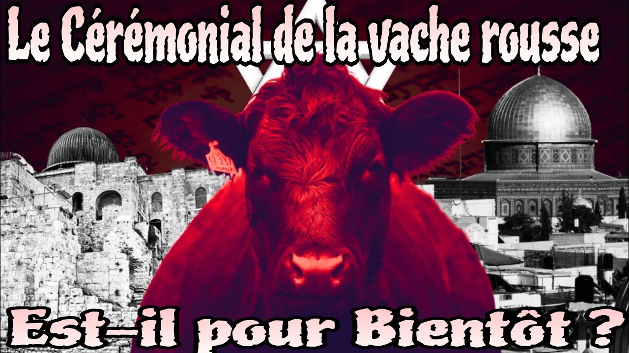 LE CÉRÉMONIAL DE LA VACHE ROUSSE EST-IL POUR BIENTÔT ? ( 22.04.24 ...