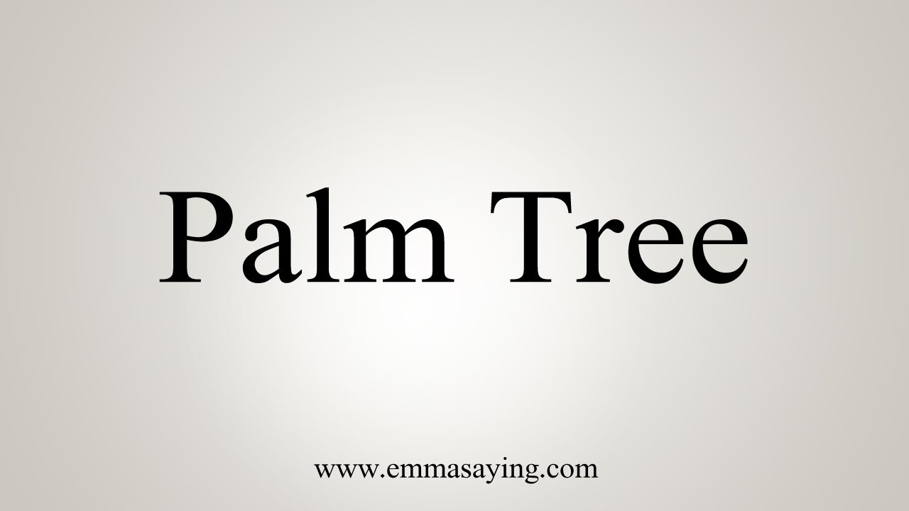 How To Say Palm Tree - YouTube