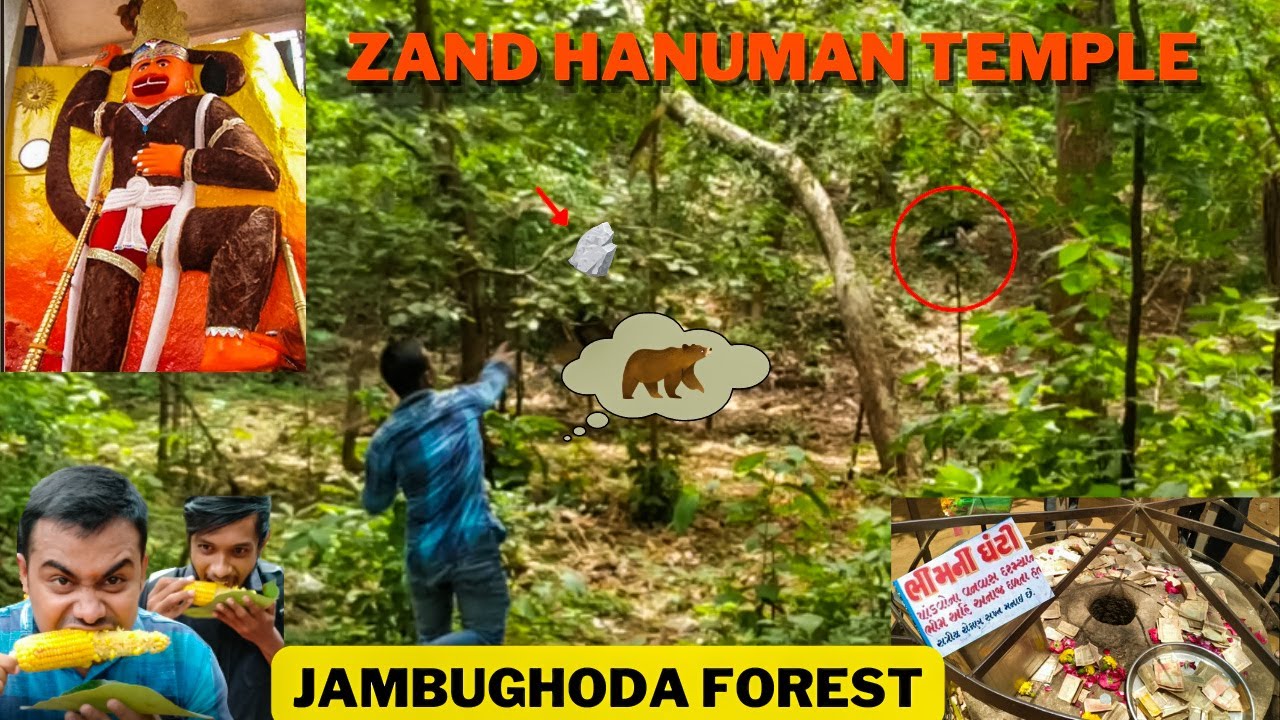 Zand Hanuman Temple | Jambughoda Forest | Gujarat Tourism | Tushar ...