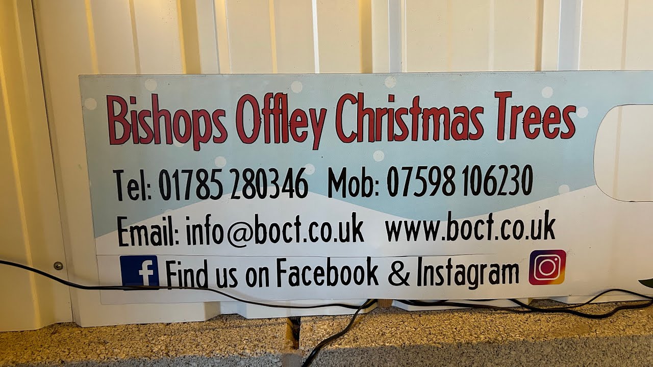 Bishops Offley Christmas tree 🌲 - YouTube