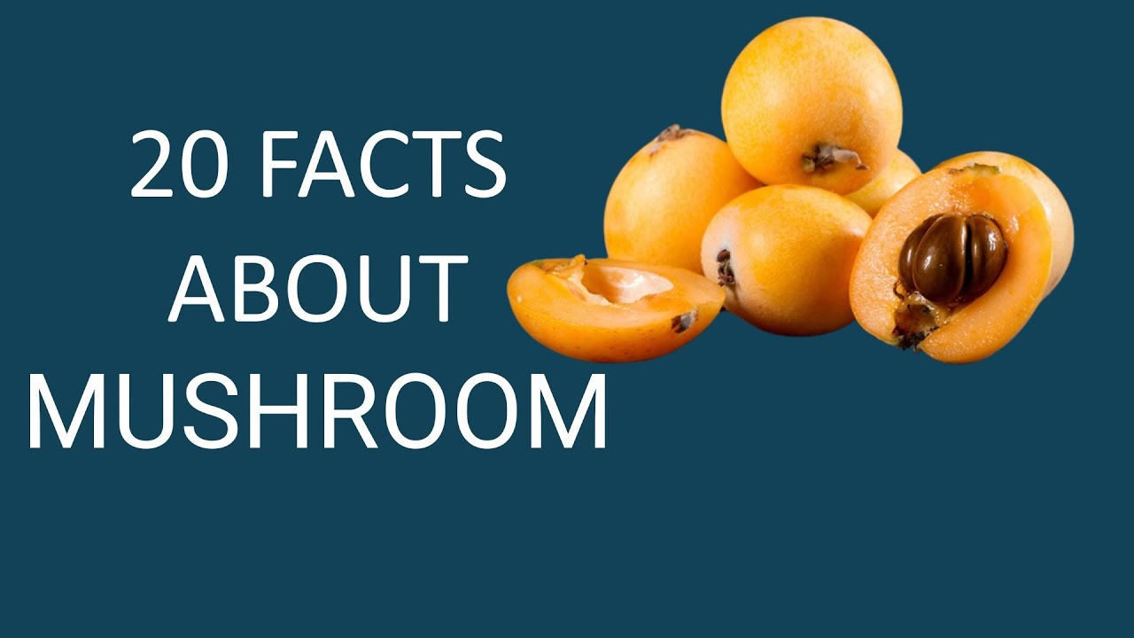 How to Enjoy the Forgotten Fruit of Mushmula - YouTube