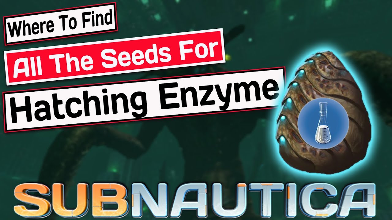 Where To Find All The Seeds For The Hatching Enzyme - SUBNAUTICA GUIDE ...
