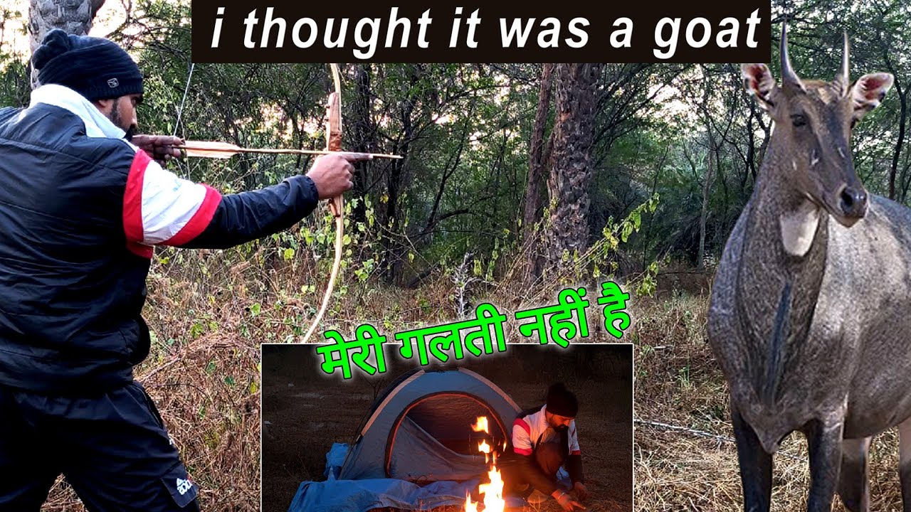 Surviving challenge in jungle / surviving in the wild / deer hunt ...