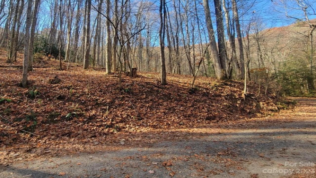 23 Forbidden Cove, Waynesville, NC Presented by Jaci Reynolds. - YouTube