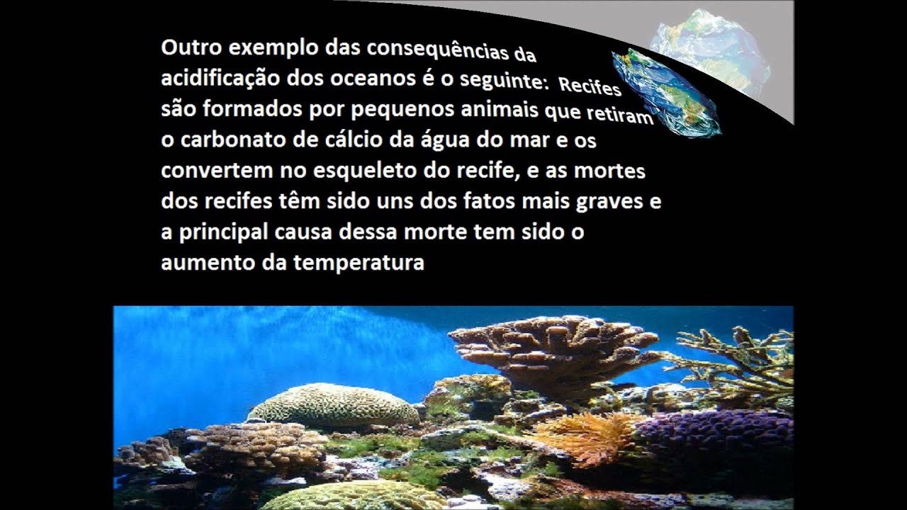 Acidificação dos Oceanos - YouTube