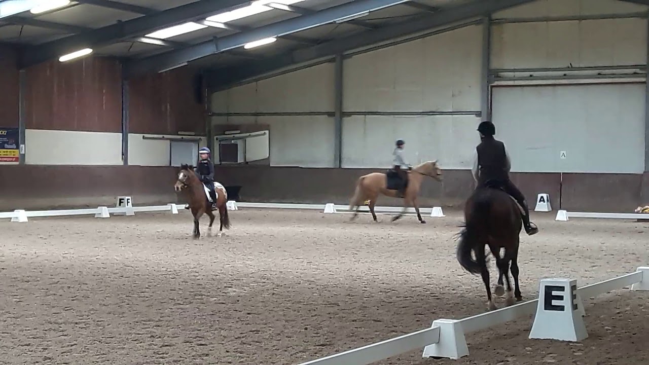 Sunshine Lady 5 - YouTube