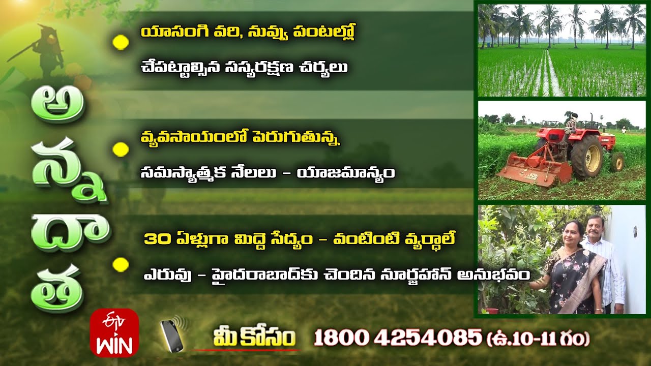 8th March 2024 | Annadata | అన్నదాత | Full Episode | ETV Telugu - YouTube
