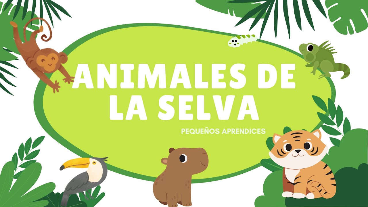 Conoce los Animales de la Selva | Video Educativo para Niños y Niñas 🐒🦜 ...