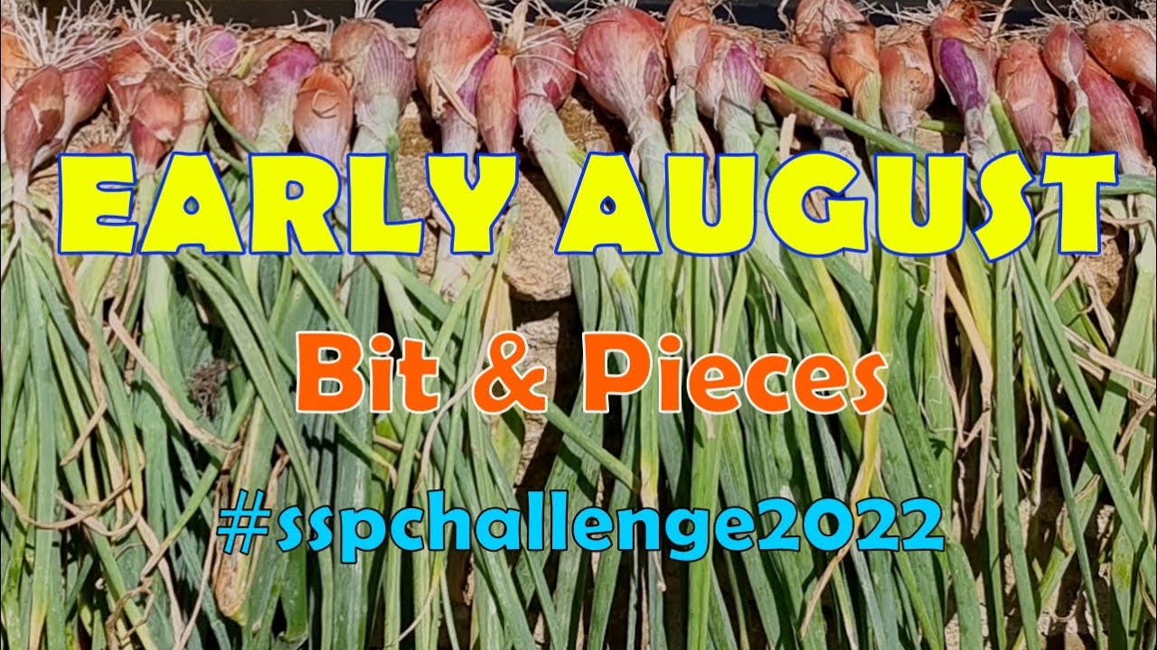 Early August Mish Mash Video - YouTube