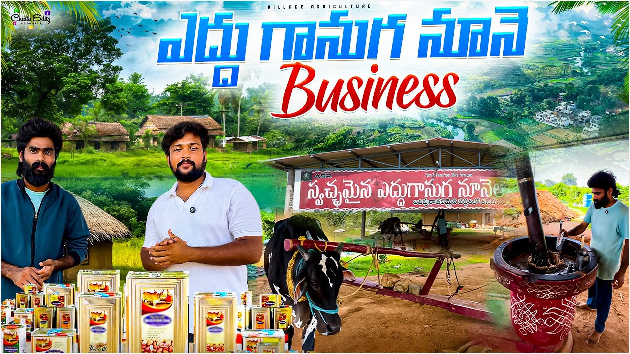 ఎద్దు గానుగతో నెలకి 30 వేల లాభం || Bull-driven oil extraction business ...