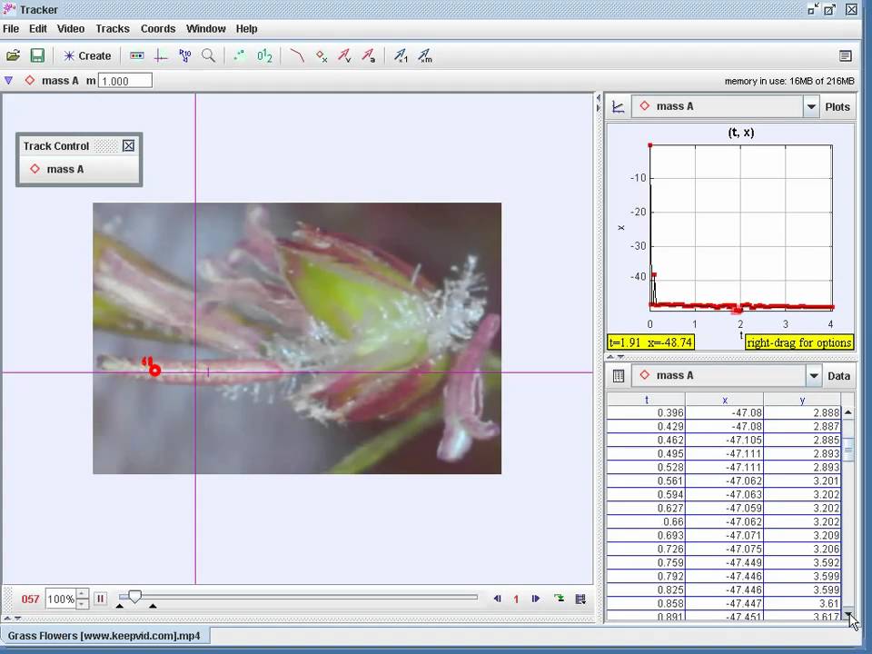 Modeling a vibrating grass anther with Tracker - YouTube
