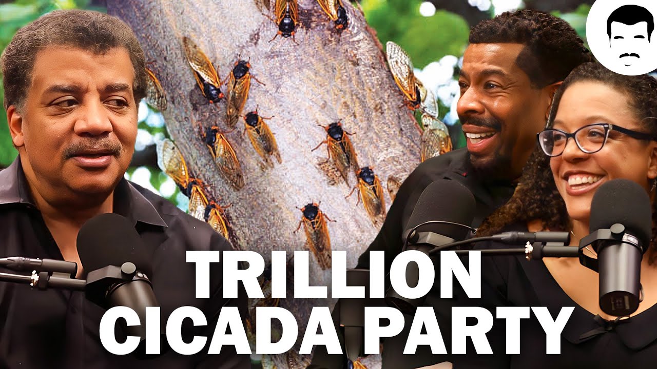 Everything You Need To Know About the Cicada Invasion - YouTube