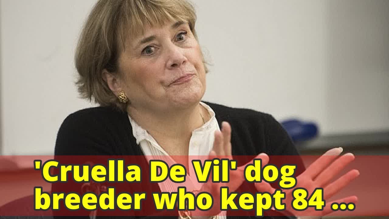 'Cruella De Vil' dog breeder who kept 84 Great Danes in her filthy New ...