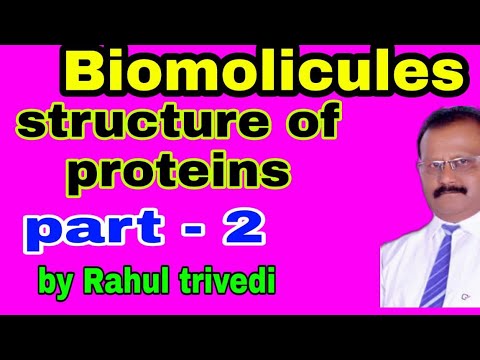 Protein | structure Of Protein| part 2| NEET2022 | 11th class biology ...