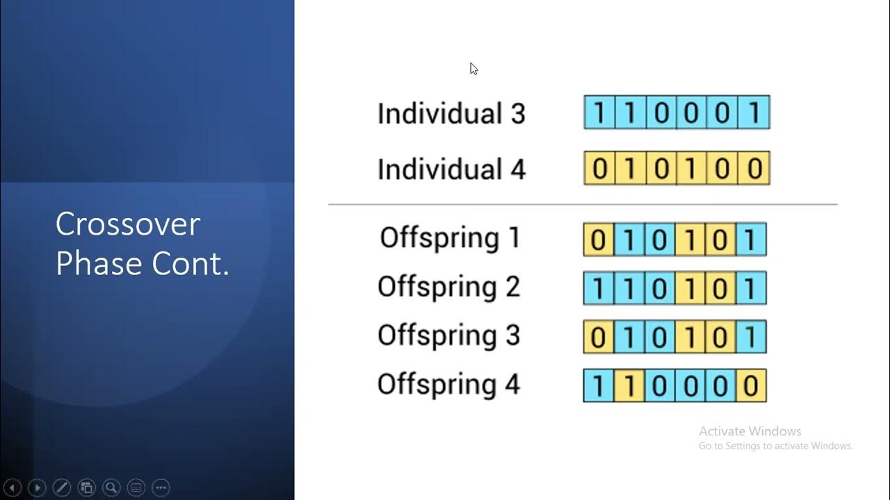 Genetic Algorithm operators - YouTube